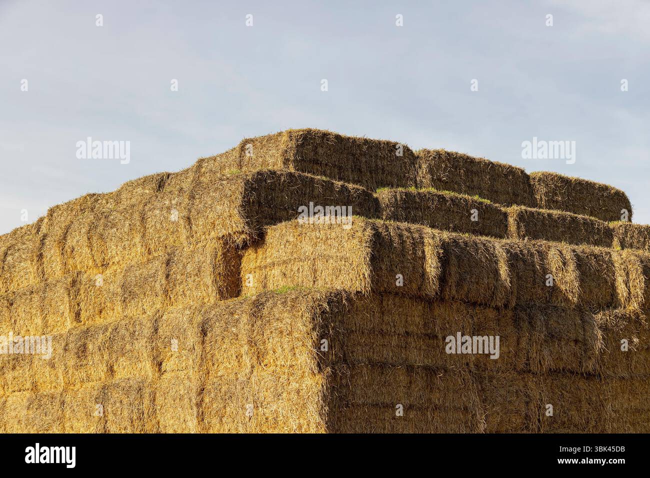 Straw from wheat packed hi-res stock photography and images - Alamy
