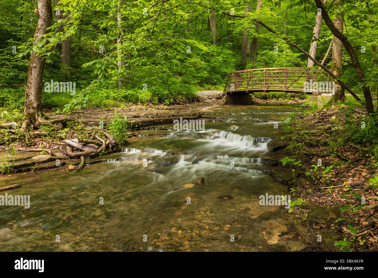 Park river footbridge in spring hi-res stock photography and images - Alamy