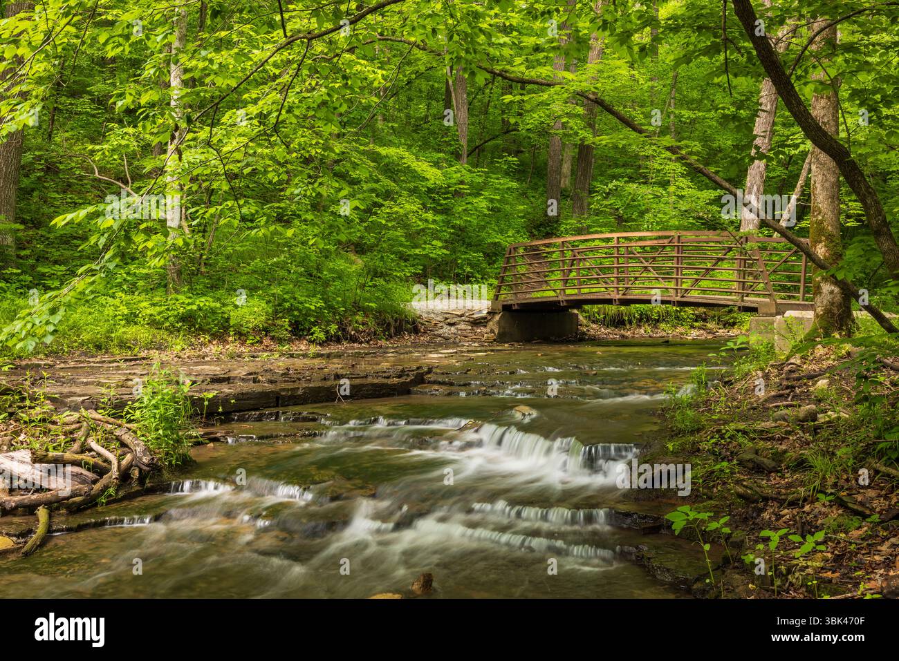 Park river footbridge in spring hi-res stock photography and images - Alamy