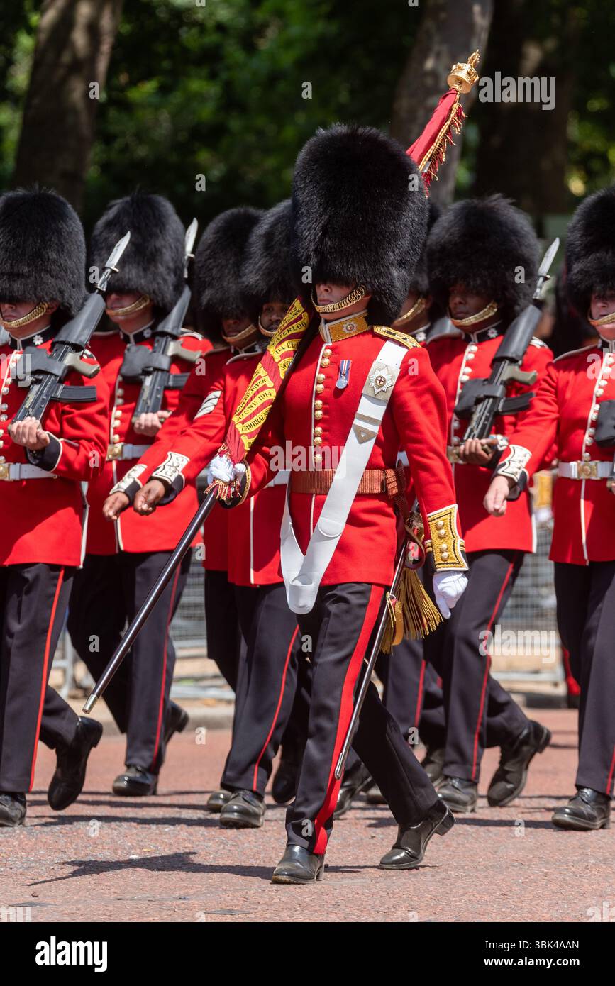 Colour of the Coldstream Guards at Trooping the Colour 2025, in The ...