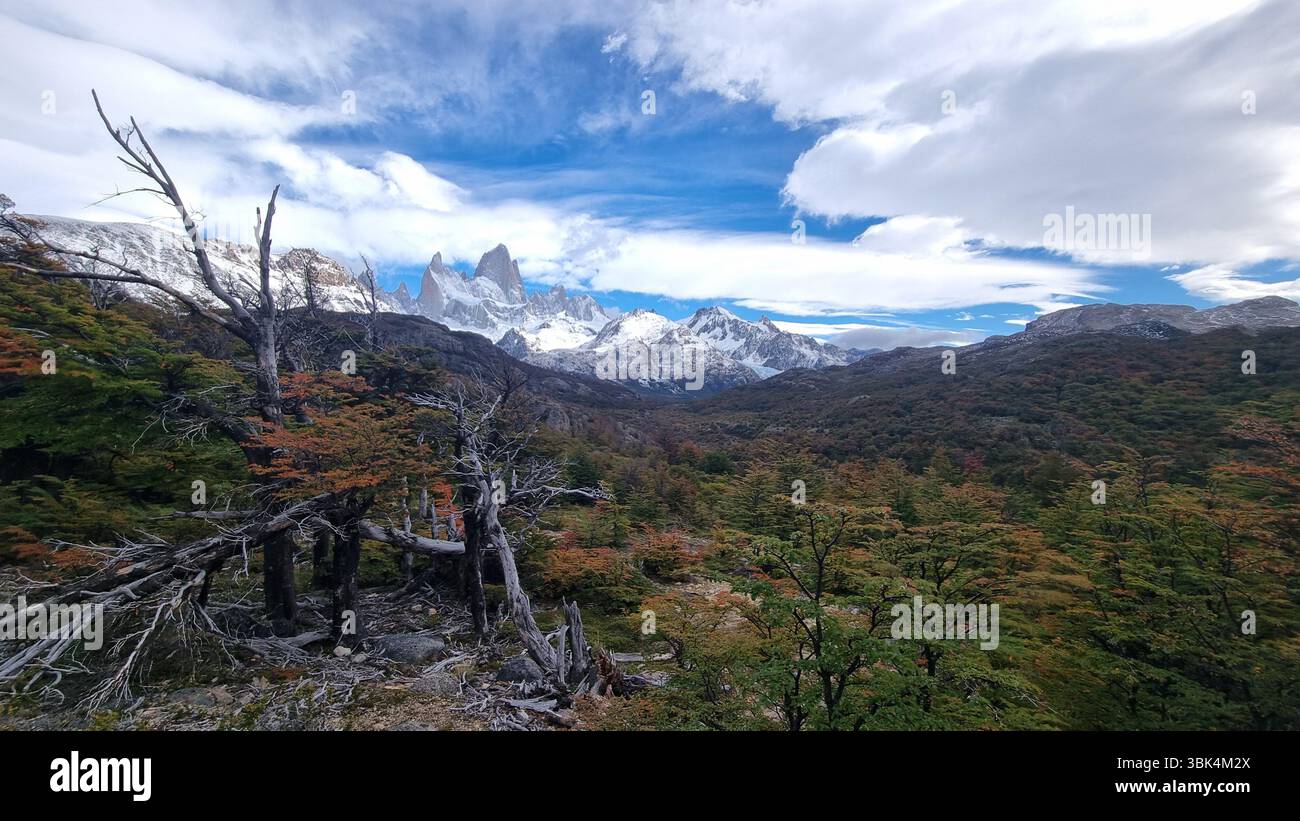 ñire argentina hi-res stock photography and images - Alamy