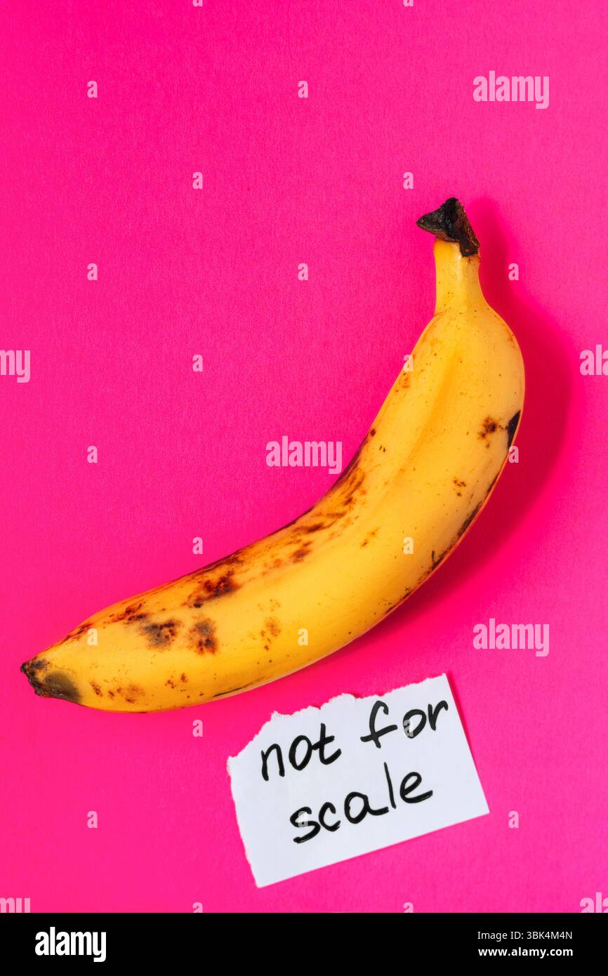 Banana lying next to a torn paper note reading not for scale, colorful ...