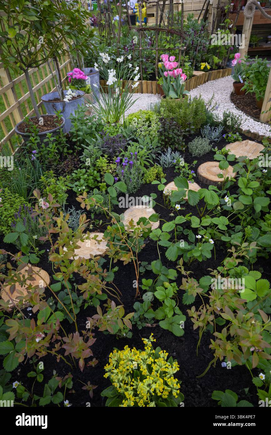 Leeds Allotment Federation garden (grow-your-own fresh edible homegrown ...