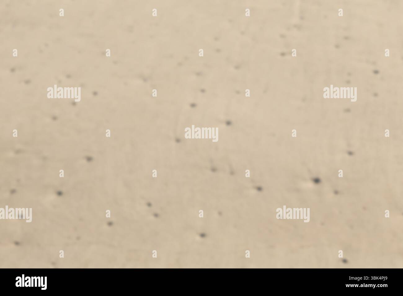 Sandy ground patch is showing beige flat design, with scattered ...