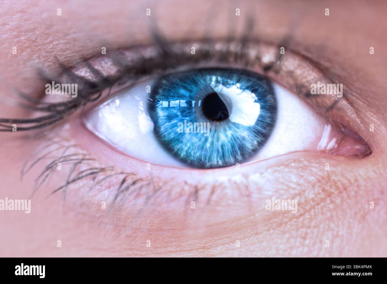 Close-up macro eye illustration is showing vivid blue iris with radial ...