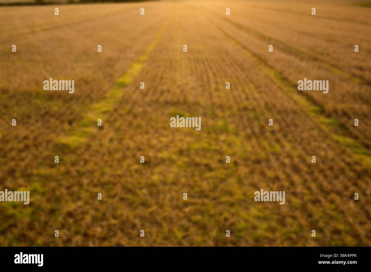 Sunlight farming hi-res stock photography and images - Alamy
