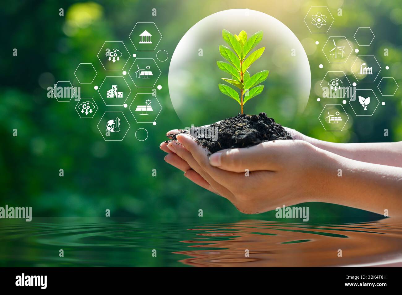 environment Earth Day Water Tree Hand. Green Hand Holding Nature ...