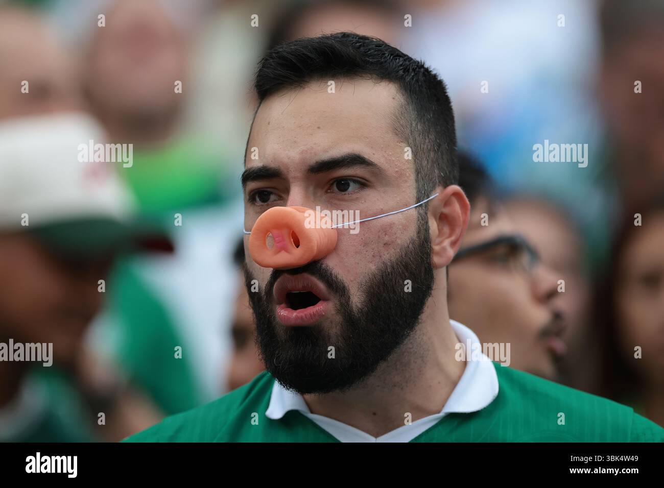 New Jersey, USA. 15th June, 2025. A Palmeiras fan wearing a pig's snout ...
