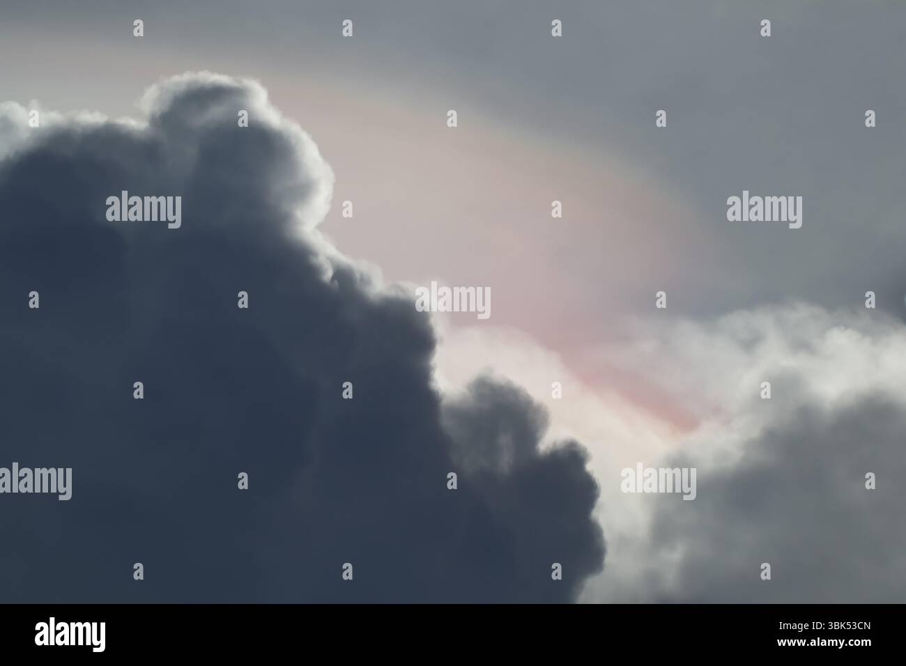 Iridescent pileus hi-res stock photography and images - Alamy