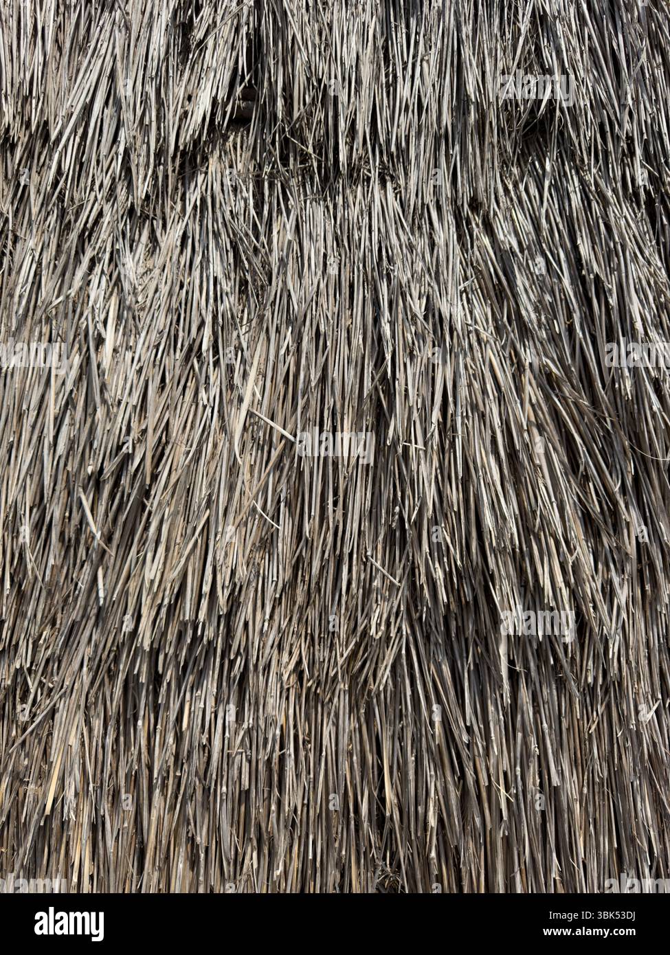 Tropical straw roof hut hi-res stock photography and images - Alamy