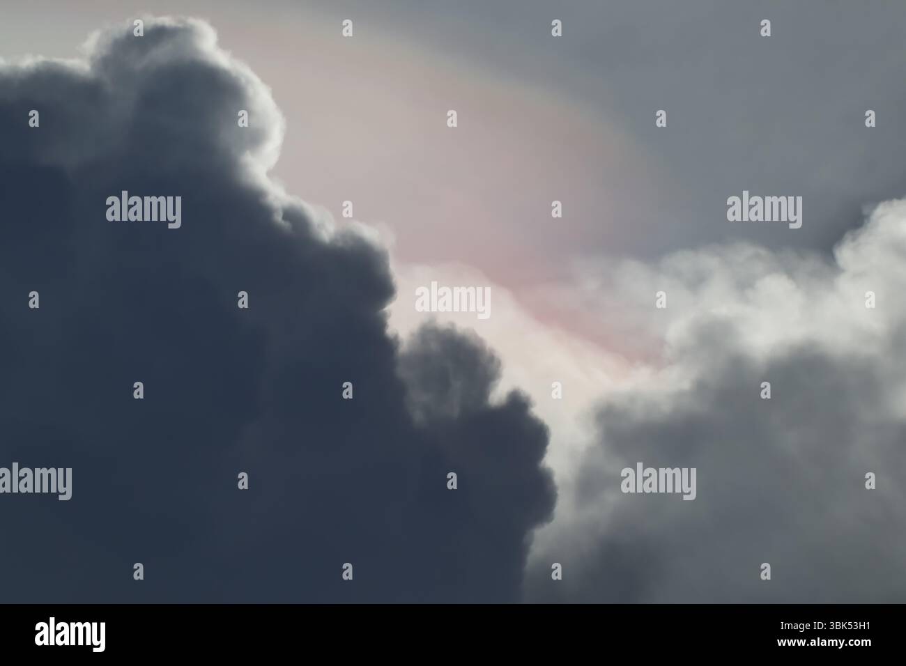 Iridescent pileus hi-res stock photography and images - Alamy
