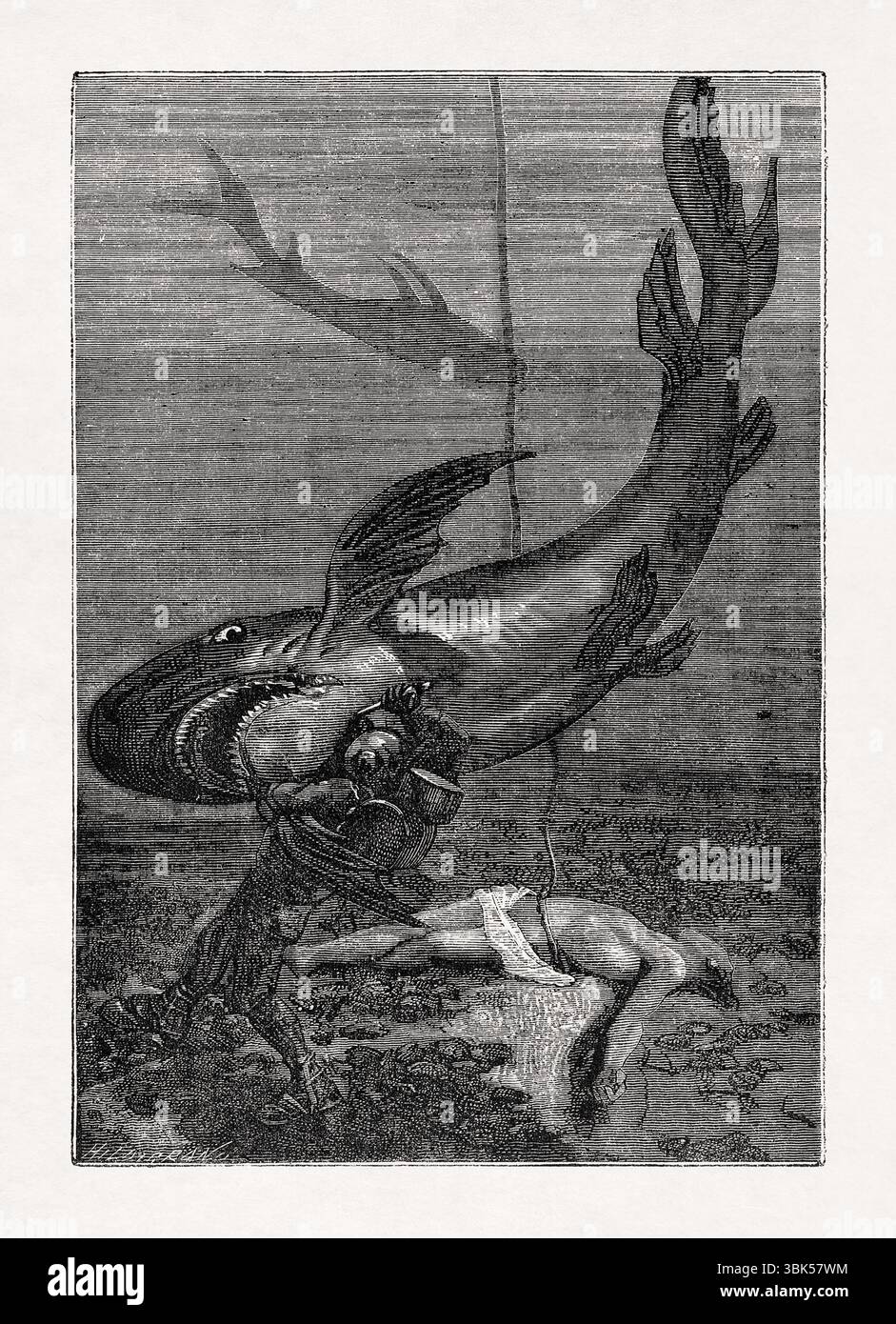Illustration depicting Ned Land fighting off a shark from the book ...