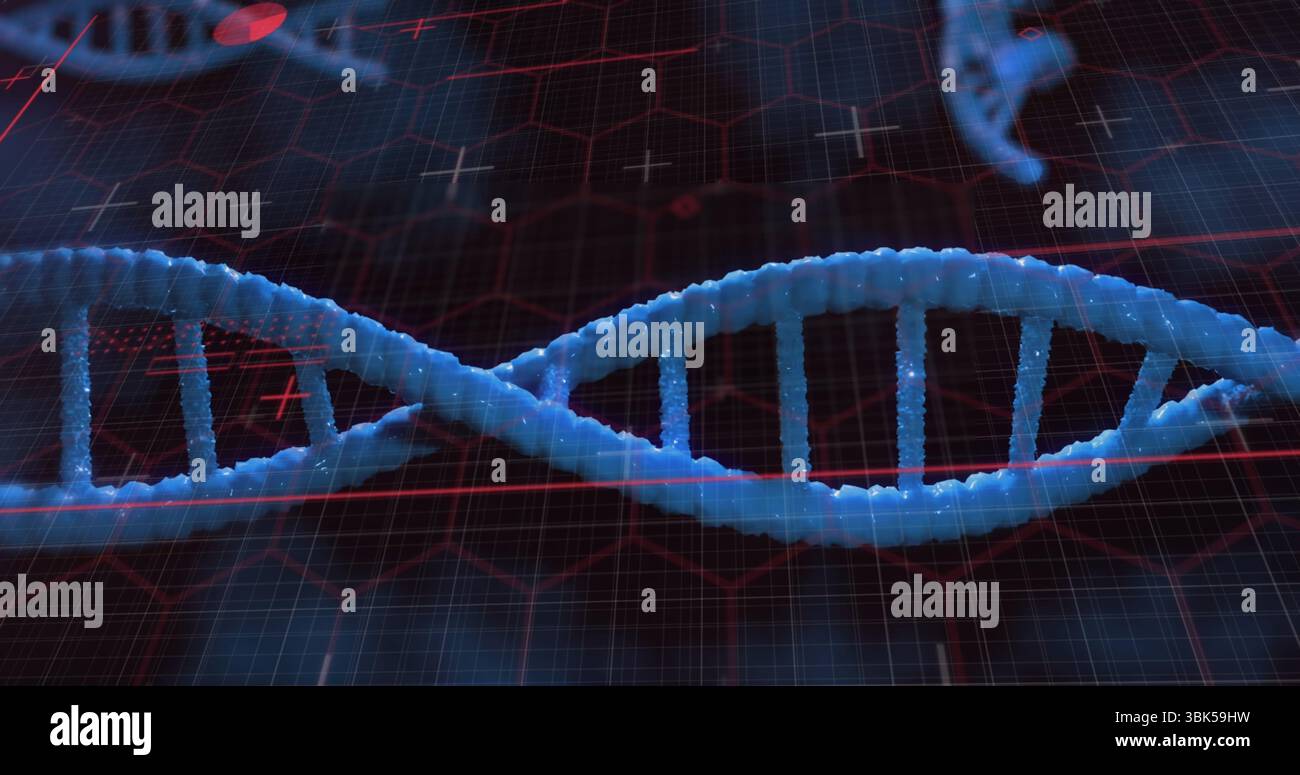Floating blue DNA double helix on wireframe grid, red ECG waveform, plus signs and molecular ...