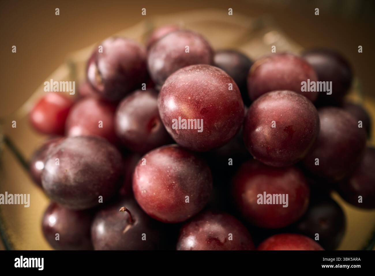 Close up prunus cerasifera red hi-res stock photography and images - Alamy