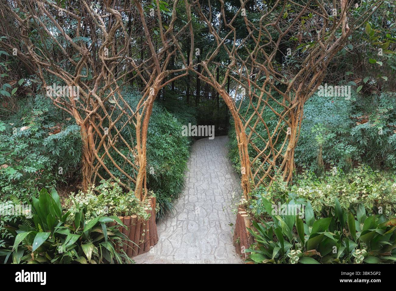 Natural arc made out of wood in the forest Stock Photo - Alamy