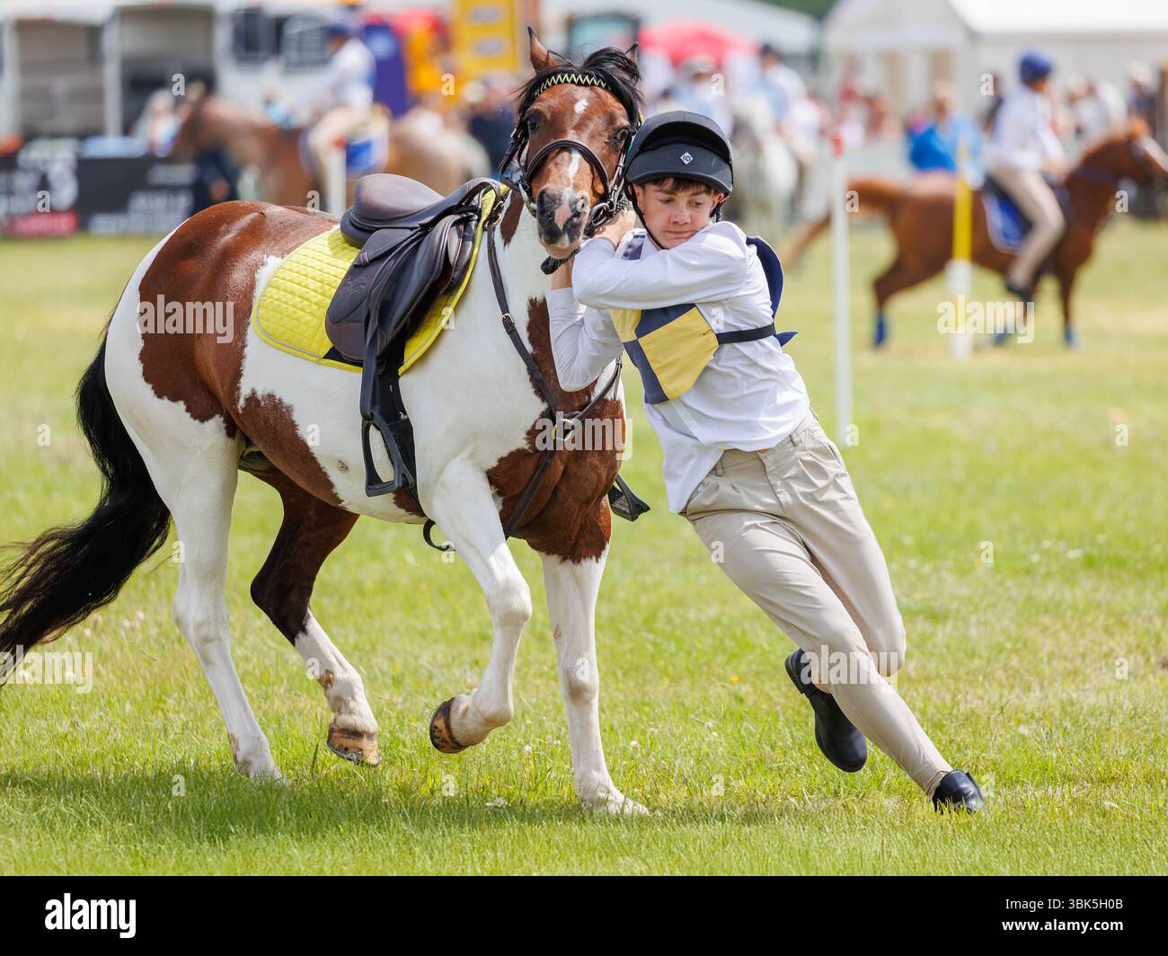 Cheshire Show, Clay House Farm, Flittogate Lane, Knutsford - 17 June ...