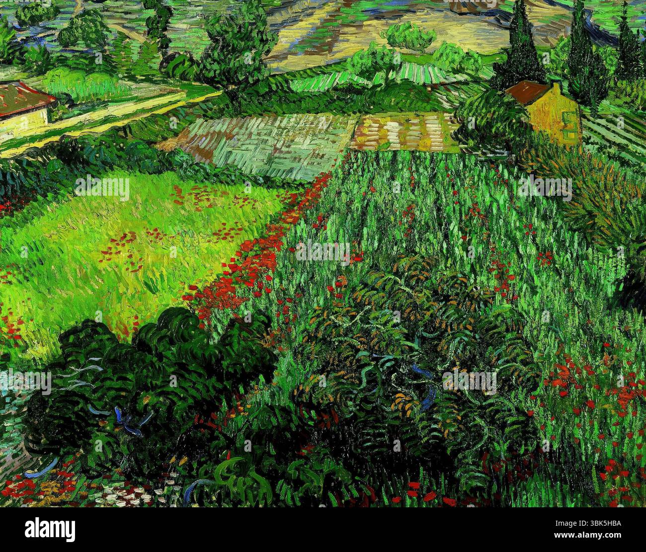 Field with Poppies. Vincent van Gogh. 1889 Stock Photo - Alamy