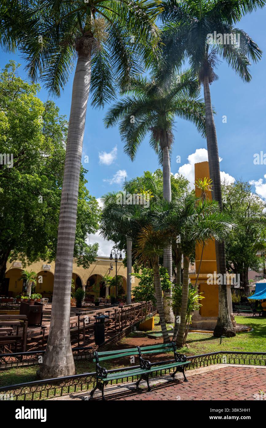 Santa Lucia Park with tall palm trees, benches and colonial buildings ...