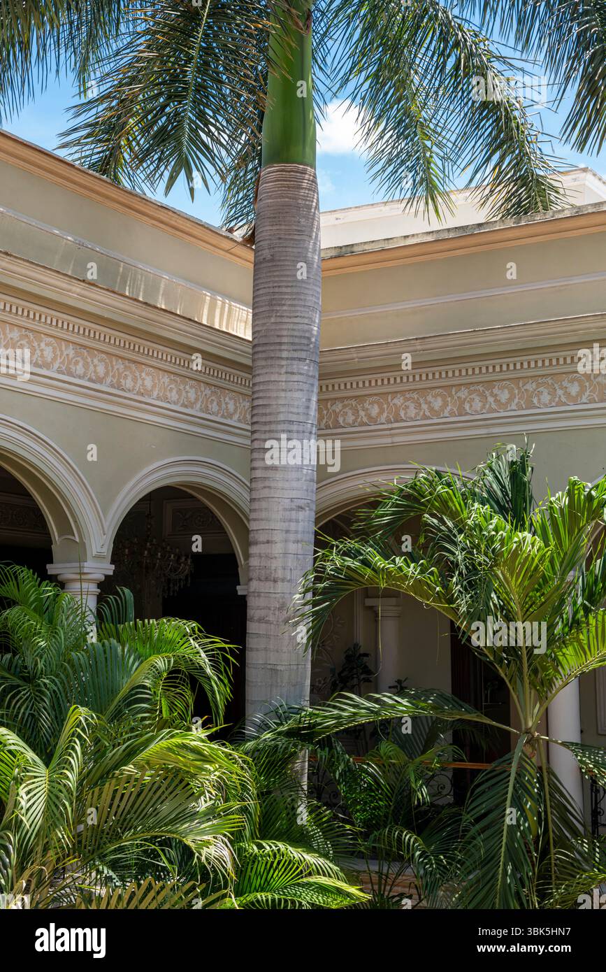 Manson Merida Hotel tropical courtyard with palm trees and white ...
