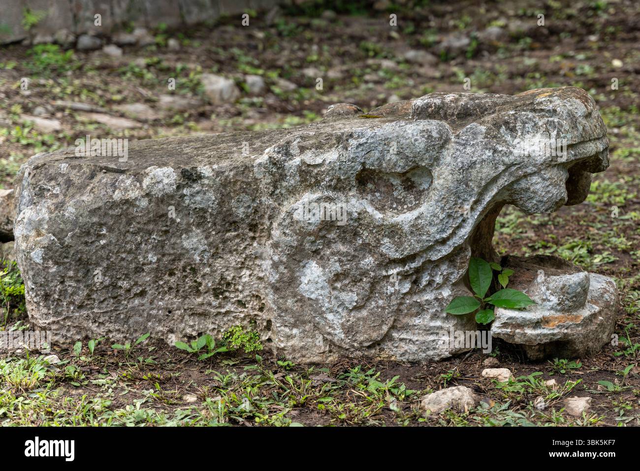 Divine serpent maya hi-res stock photography and images - Alamy