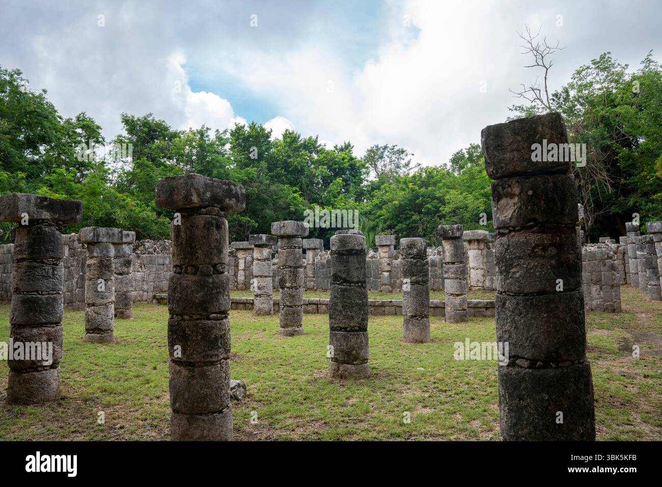 The Thousand Columns stone pillars with carved details in ancient Maya ...