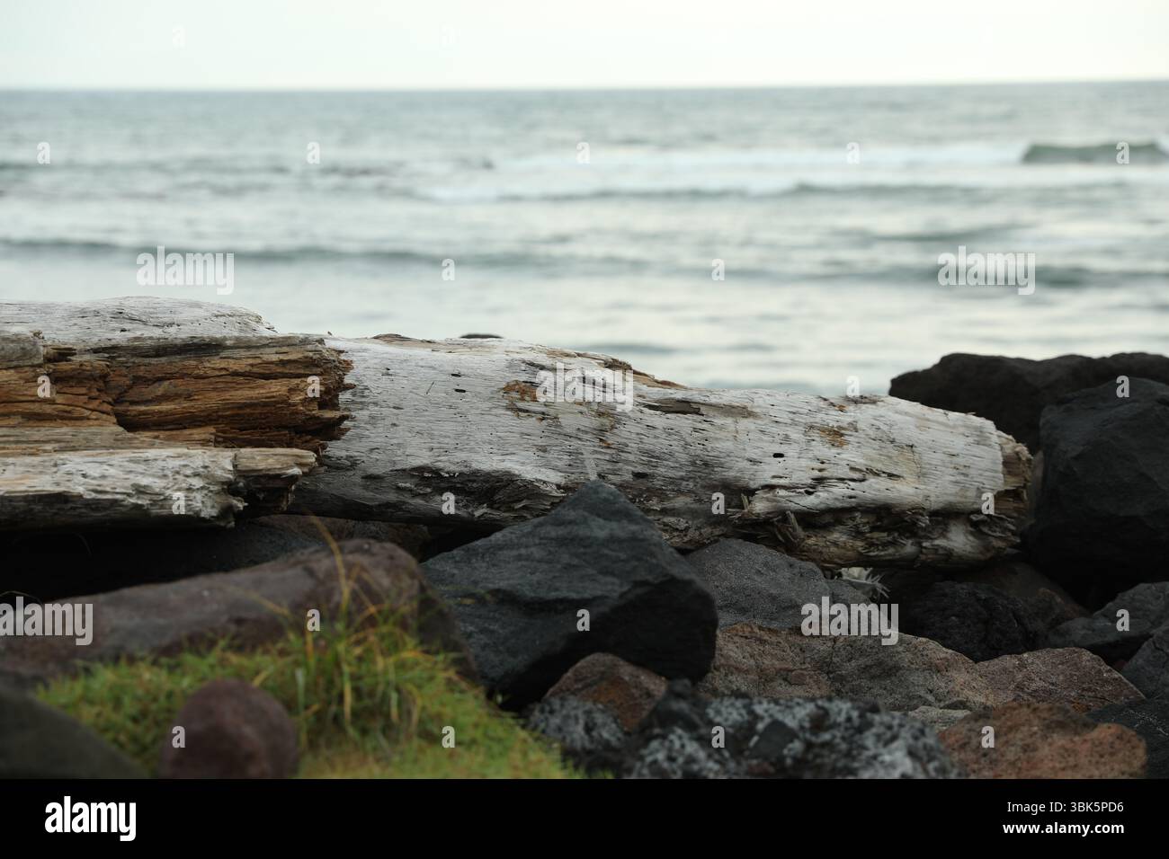 Stones snag on beach near hi-res stock photography and images - Alamy