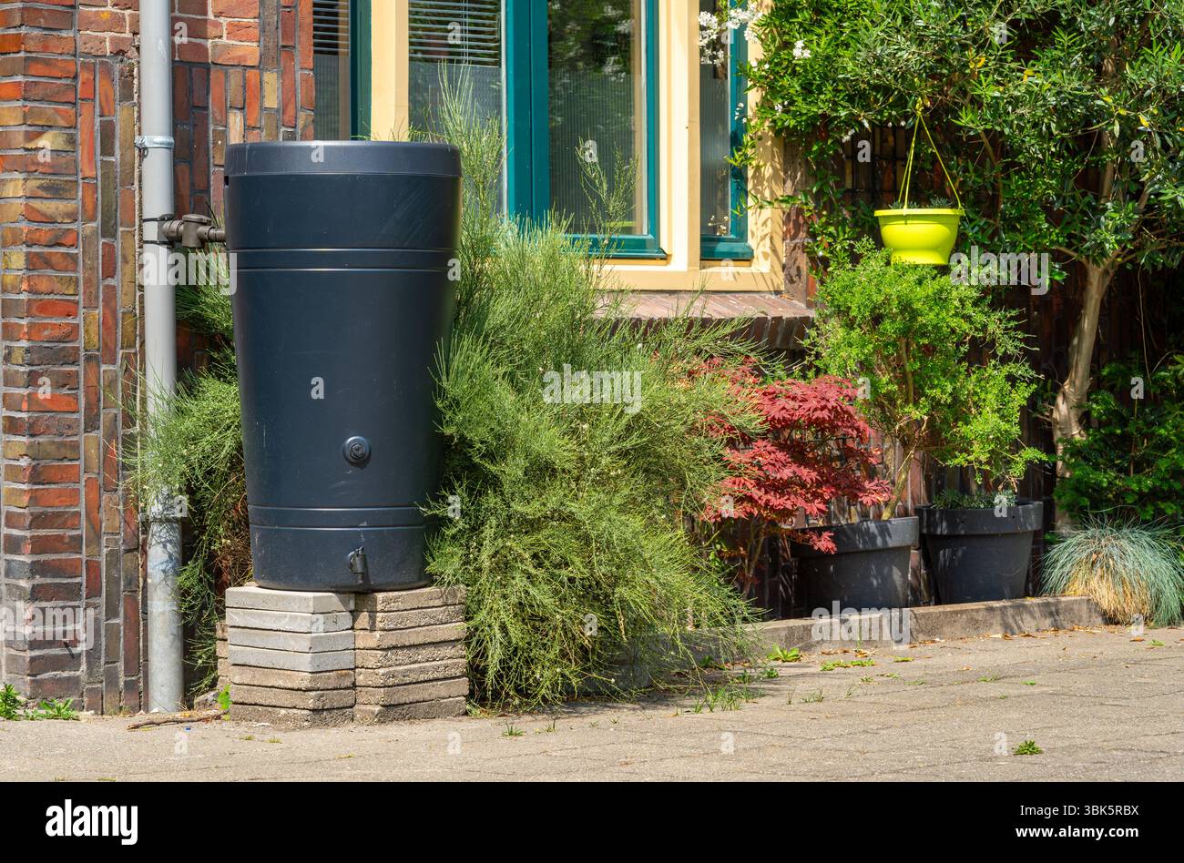 Plastic Rain Barrel Connected to Downspout on City Street, Eco-Friendly ...