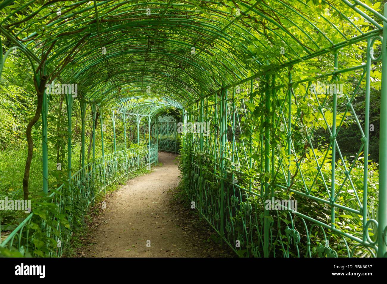 Beautiful shot way in hi-res stock photography and images - Alamy