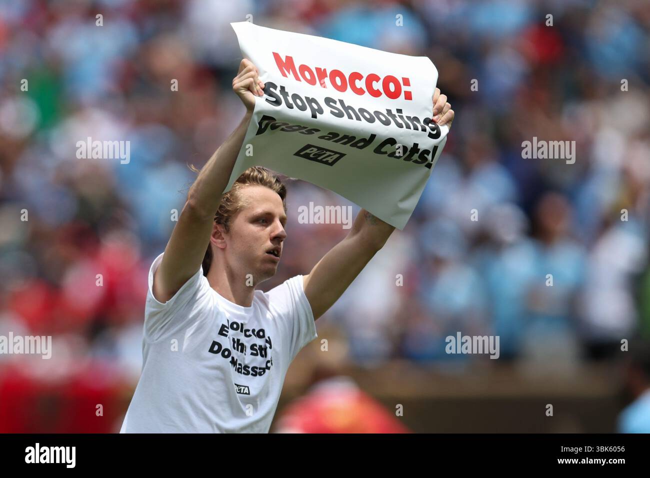 PHILADELPHIA, USA - 18th June 2025: A pitch invader from PETA displays ...