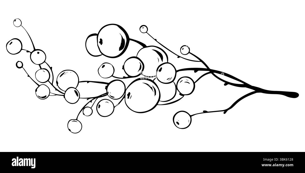 Minimalist berries Stock Vector Images - Alamy