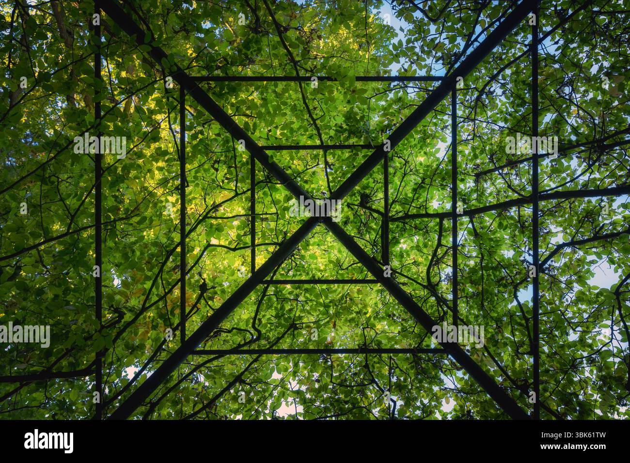 Garden metal frame hi-res stock photography and images - Alamy