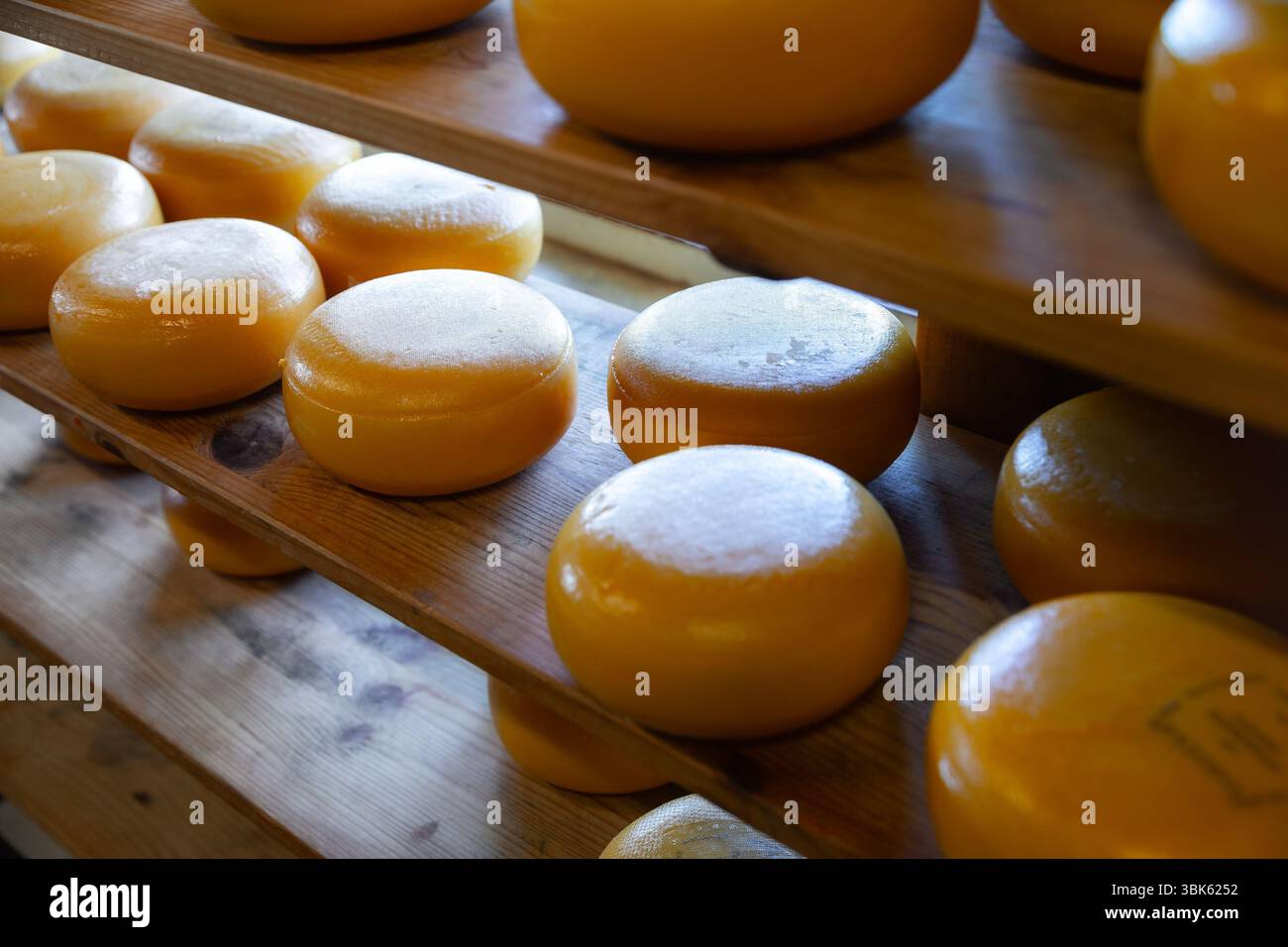 Cheese factory in holland lots hi-res stock photography and images - Alamy