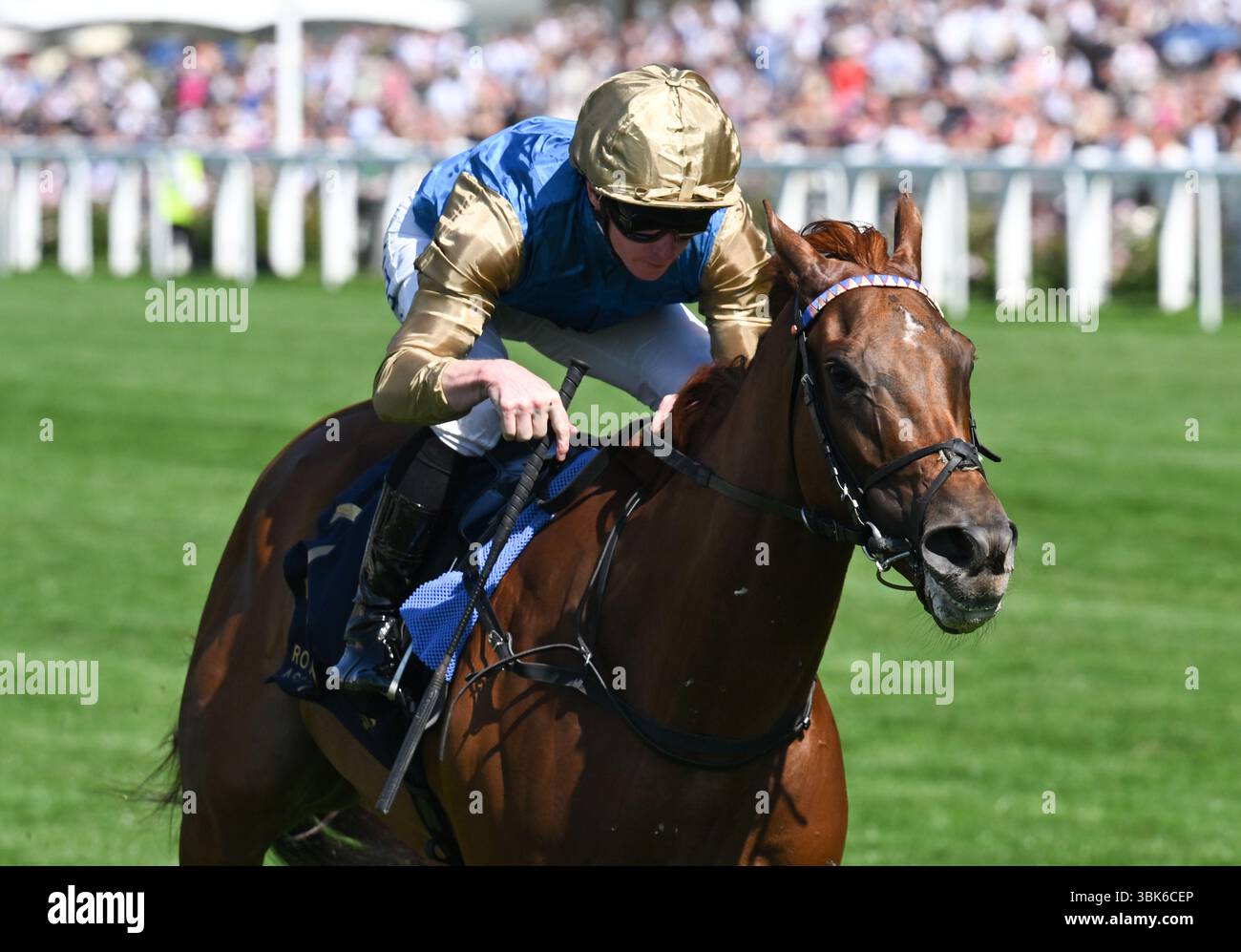 Ascot, UK. 18 June, 2025. Crimson Advocate ridden by James McDonald ...