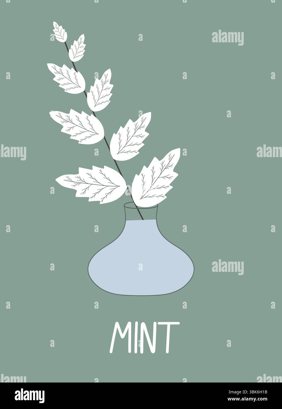Mint plant Stock Vector Images - Alamy