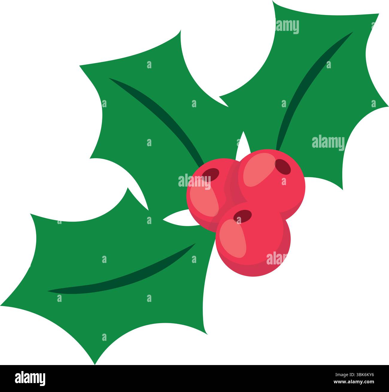Holly vector illustration branch Stock Vector Images - Alamy