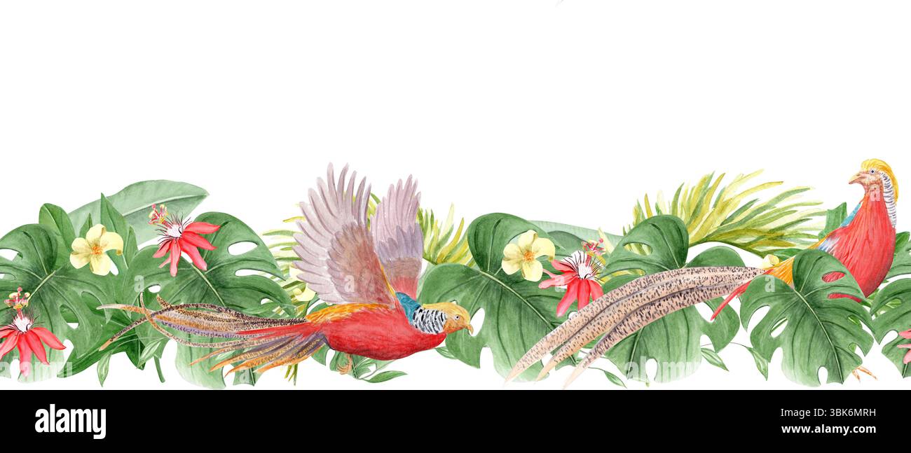 Golden pheasant flying and standing, tropical leaves, white and red ...