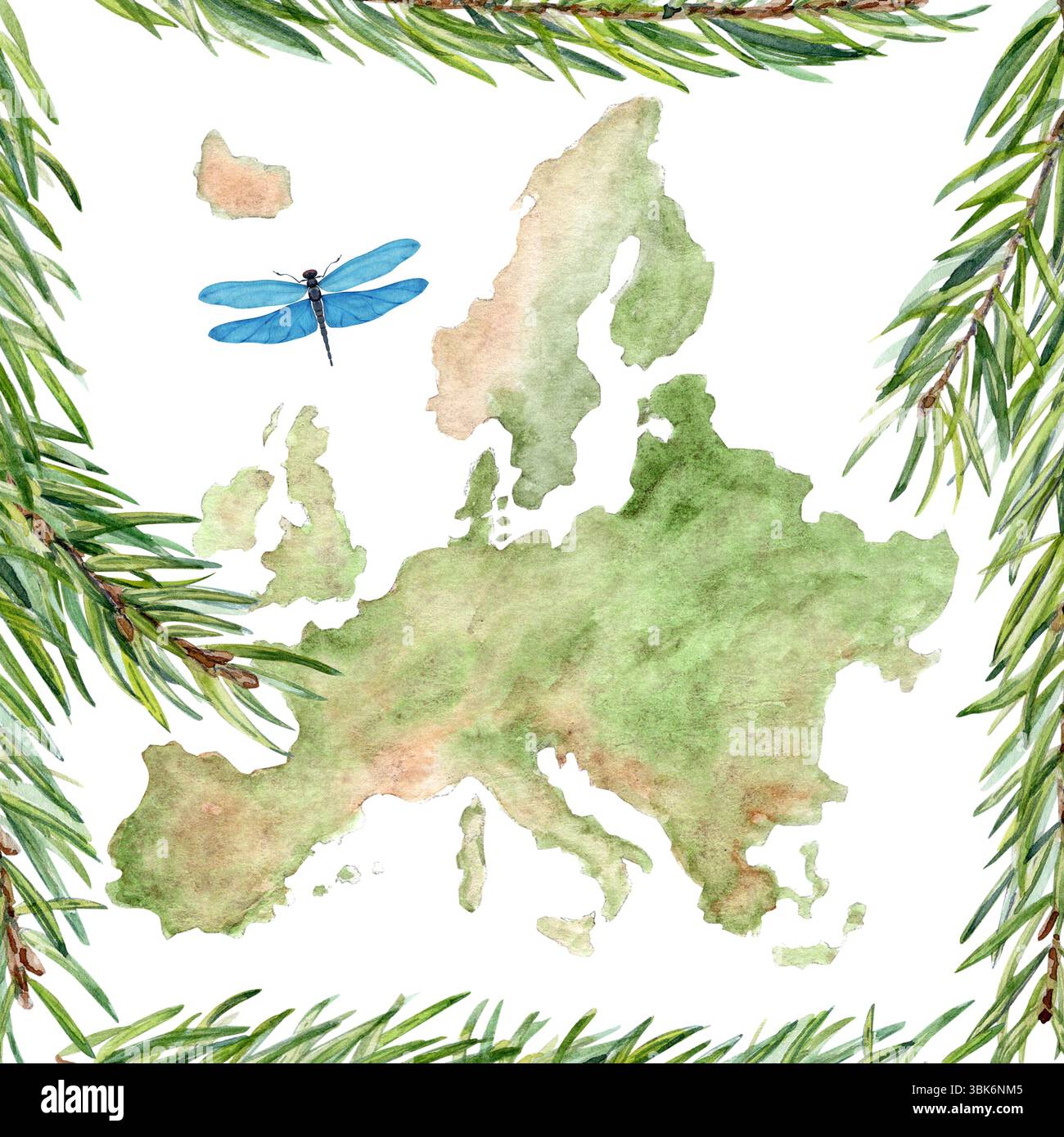 Map of Europe in frame of fir branches, dragonfly. Watercolor ...