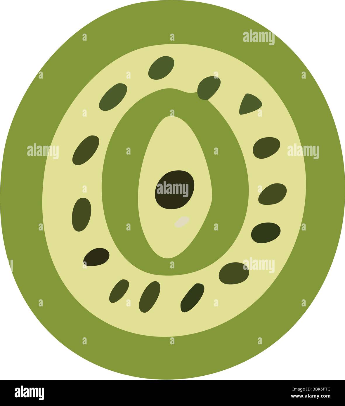 Vibrant cross section of Stock Vector Images - Alamy