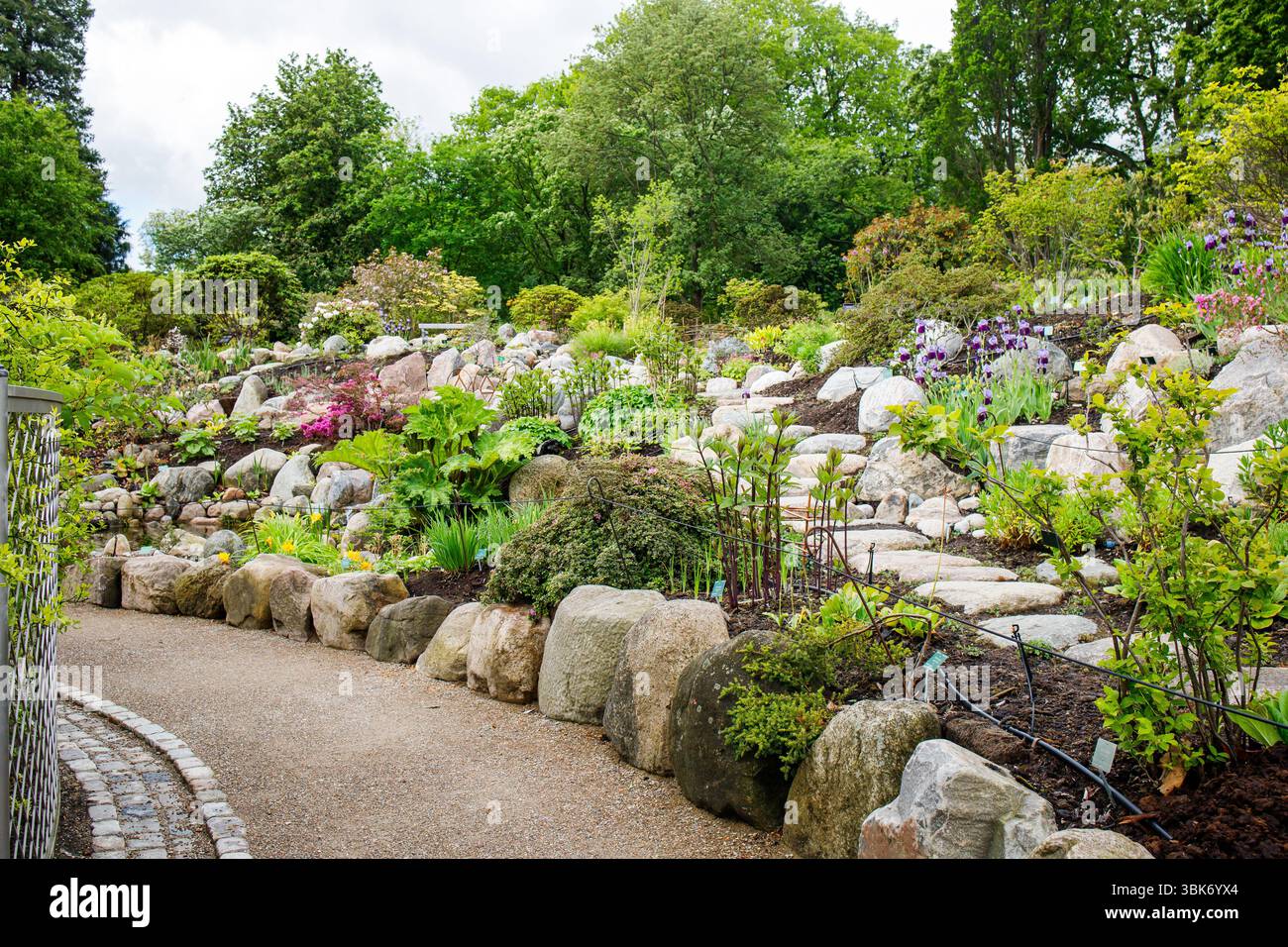 Clean and groomed territory of Copenhagen Botanical gardens in may ...