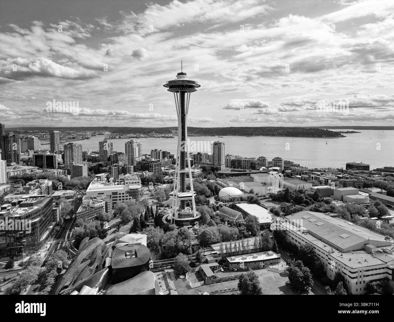 Aerial view of Seattle with Space Needle tower. City downtown. Seattle ...