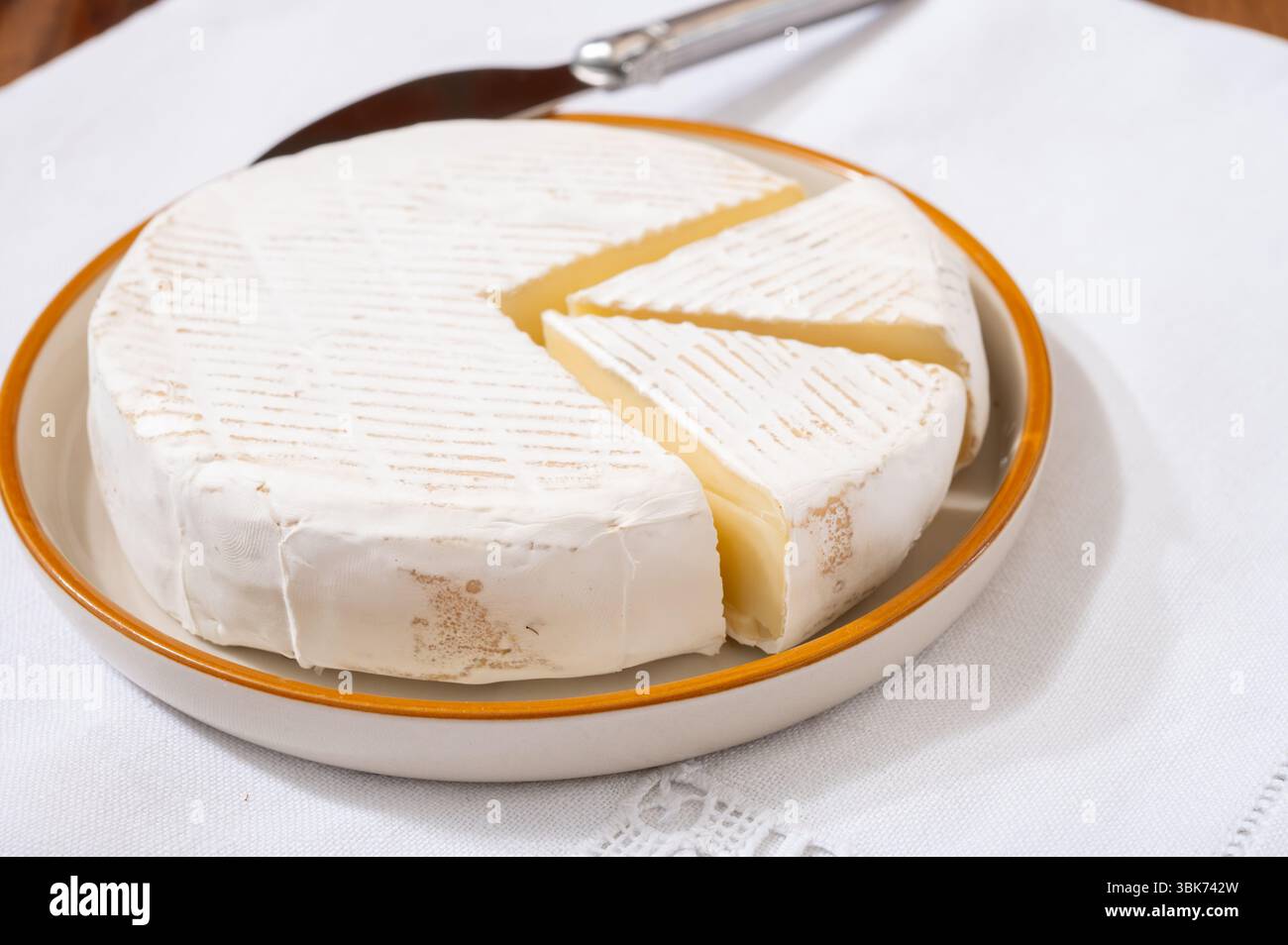 French soft cheeses collection, creamy matured cow's milk cheese roudou ...