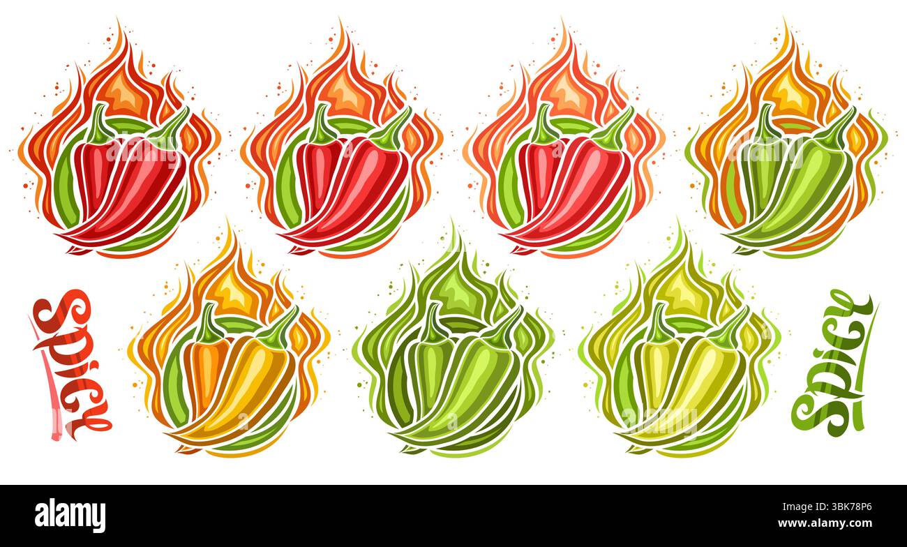 Vector Spicy Chili Pepper Set, group of 7 isolated outline ...