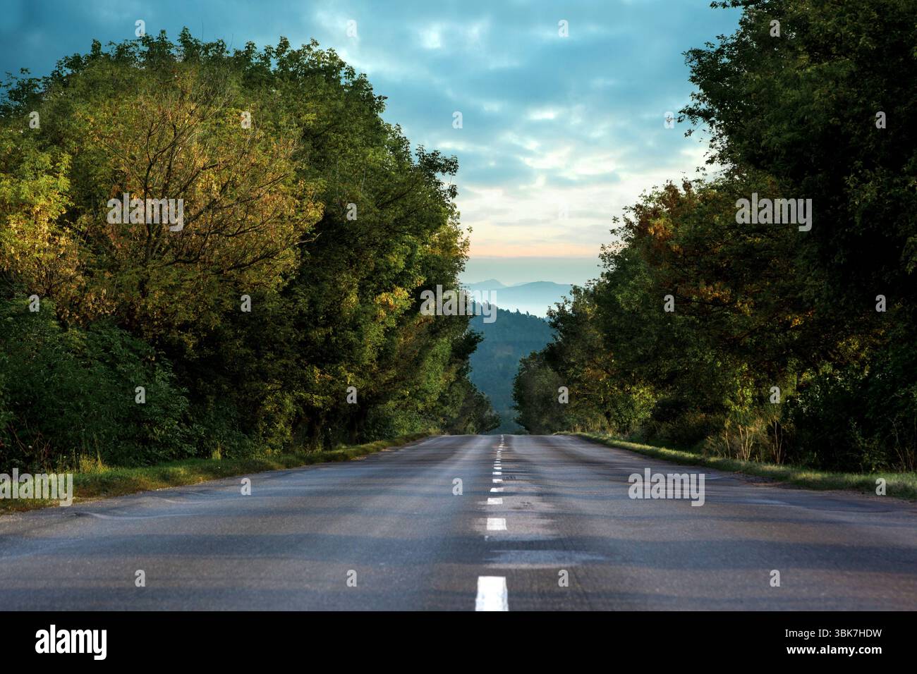 Flat design is showing straight two-lane road stretching into green ...
