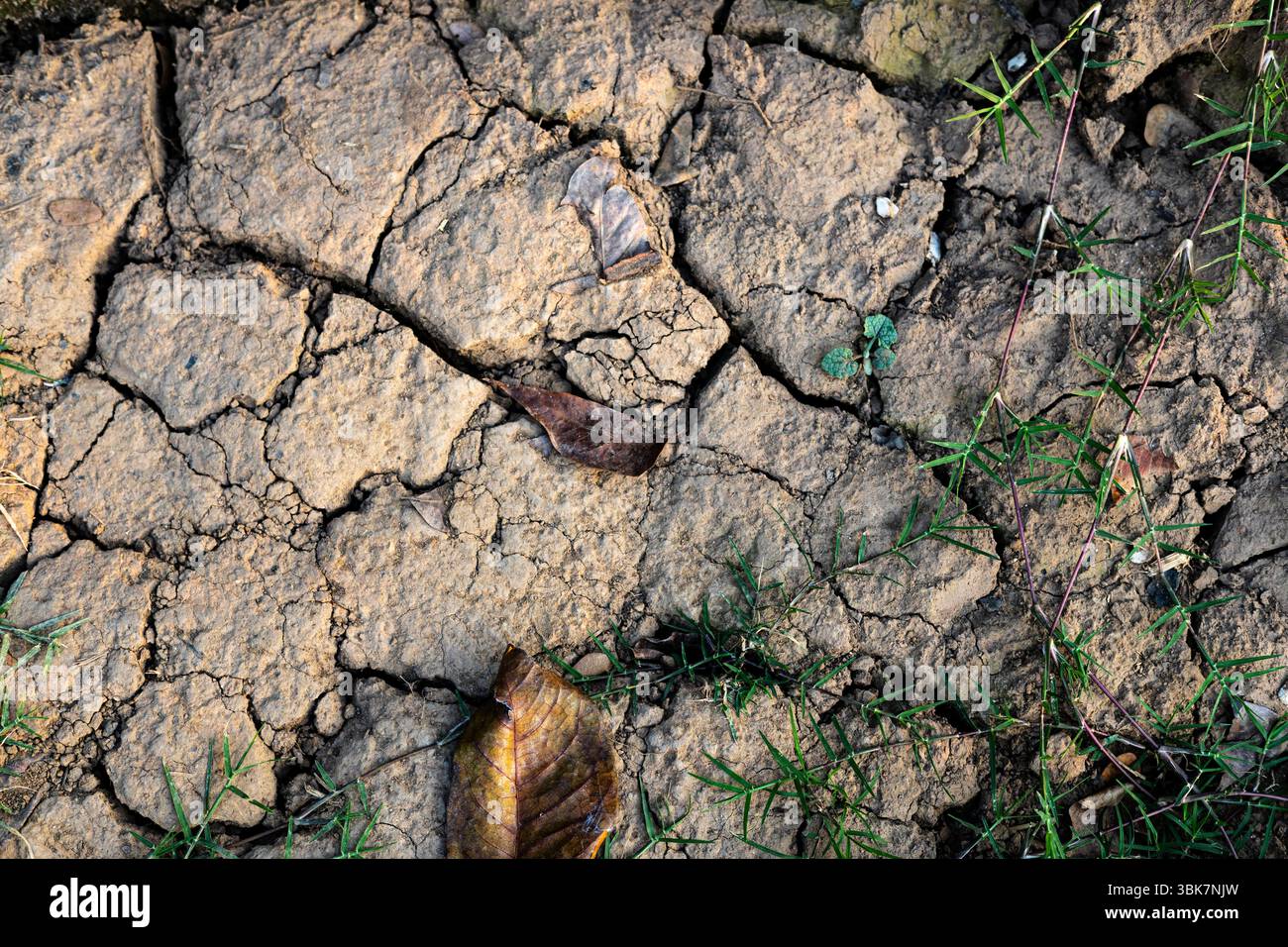 Ground Is Cracking And Drying Out, Background for adveartising and ...