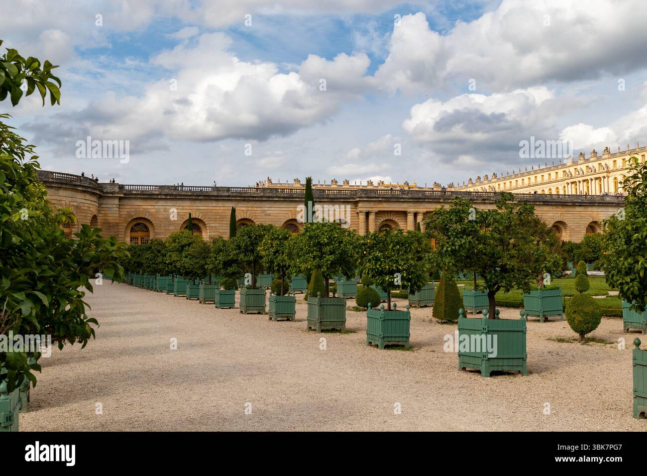 View of Versailles palace gardens with potted trees, gravel paths, and ...