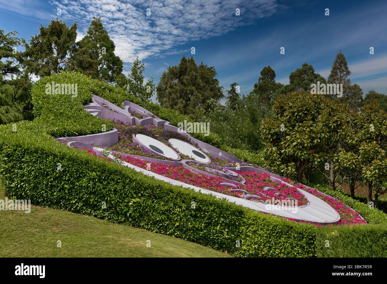 The image shows a large, lavender topiary sculpture of Goofy's face ...