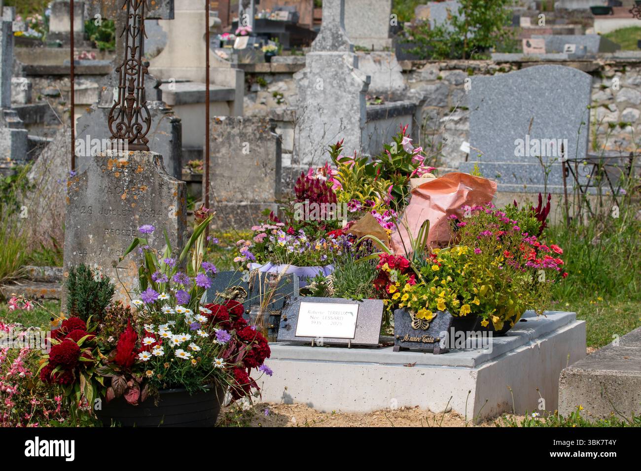 Cemetery scene: Headstone adorned with vibrant flowers and grave ...
