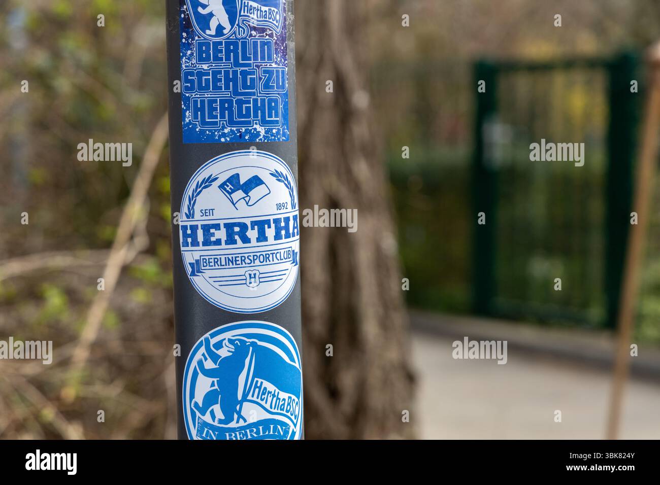 Bsc logo design hi-res stock photography and images - Alamy