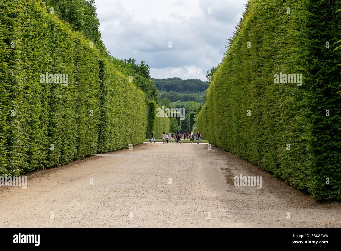 Straight hedges hi-res stock photography and images - Alamy