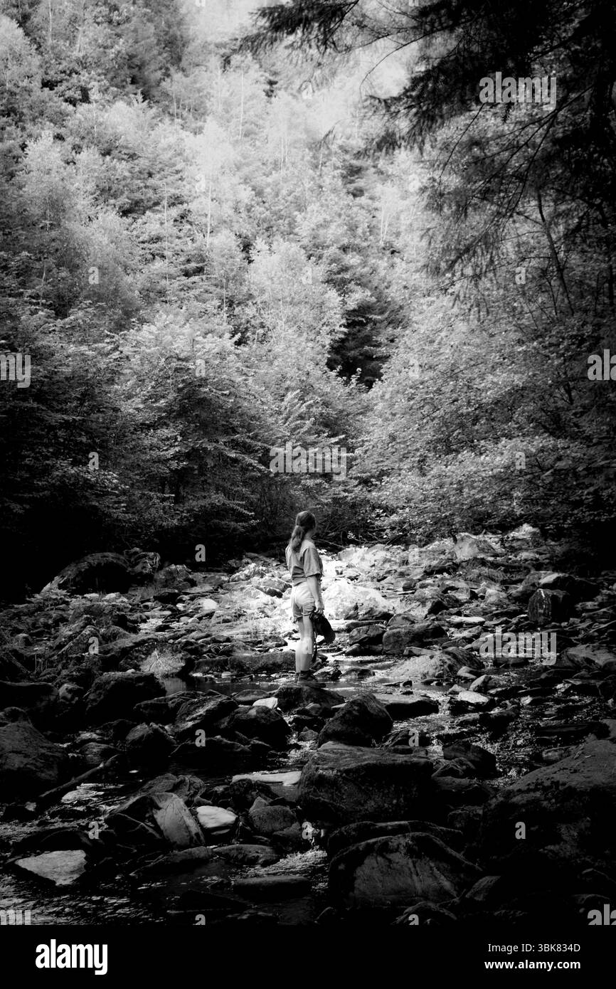 A person stands small in a vast rocky forest landscape, surrounded by ...